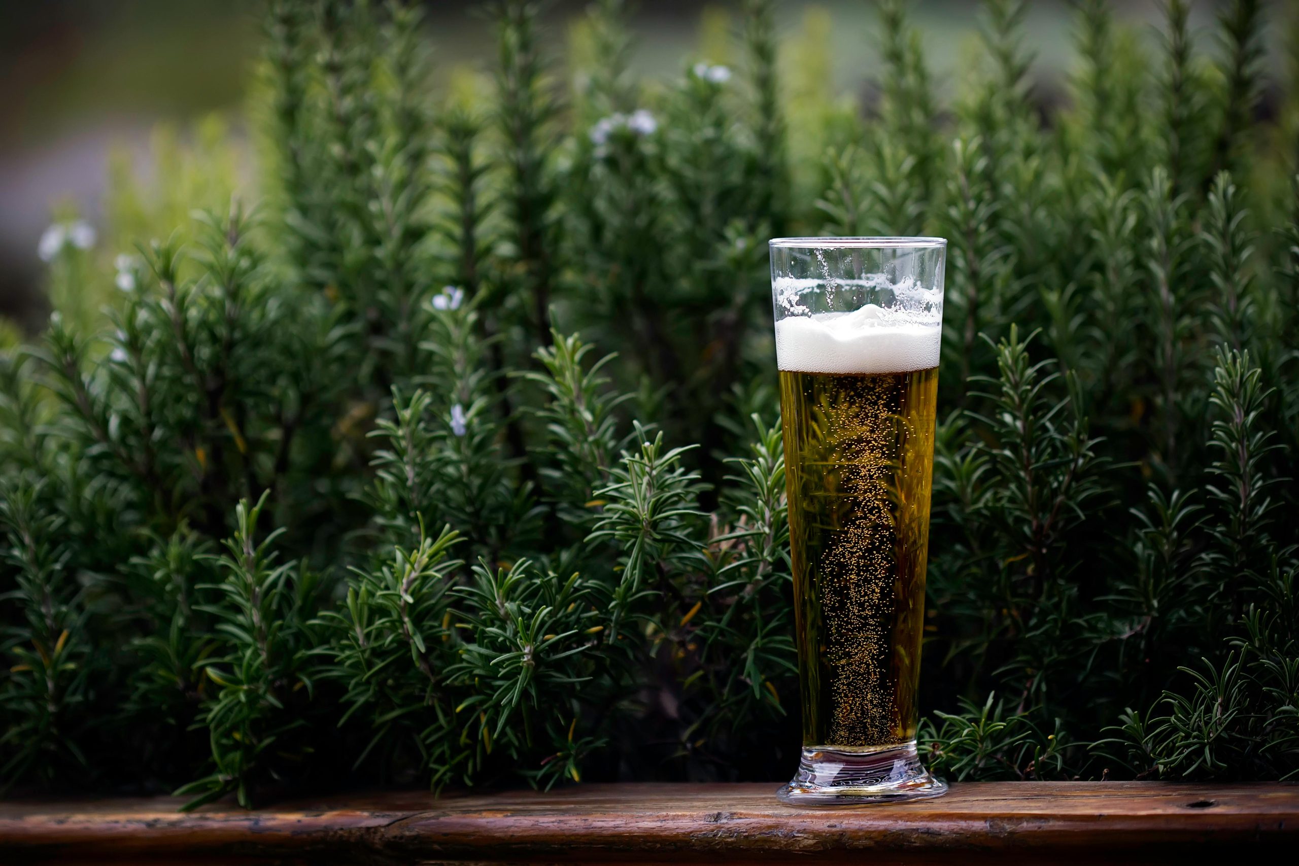 Alcohol and Arthritis: What You Need to Know | Orthobiologics Associates